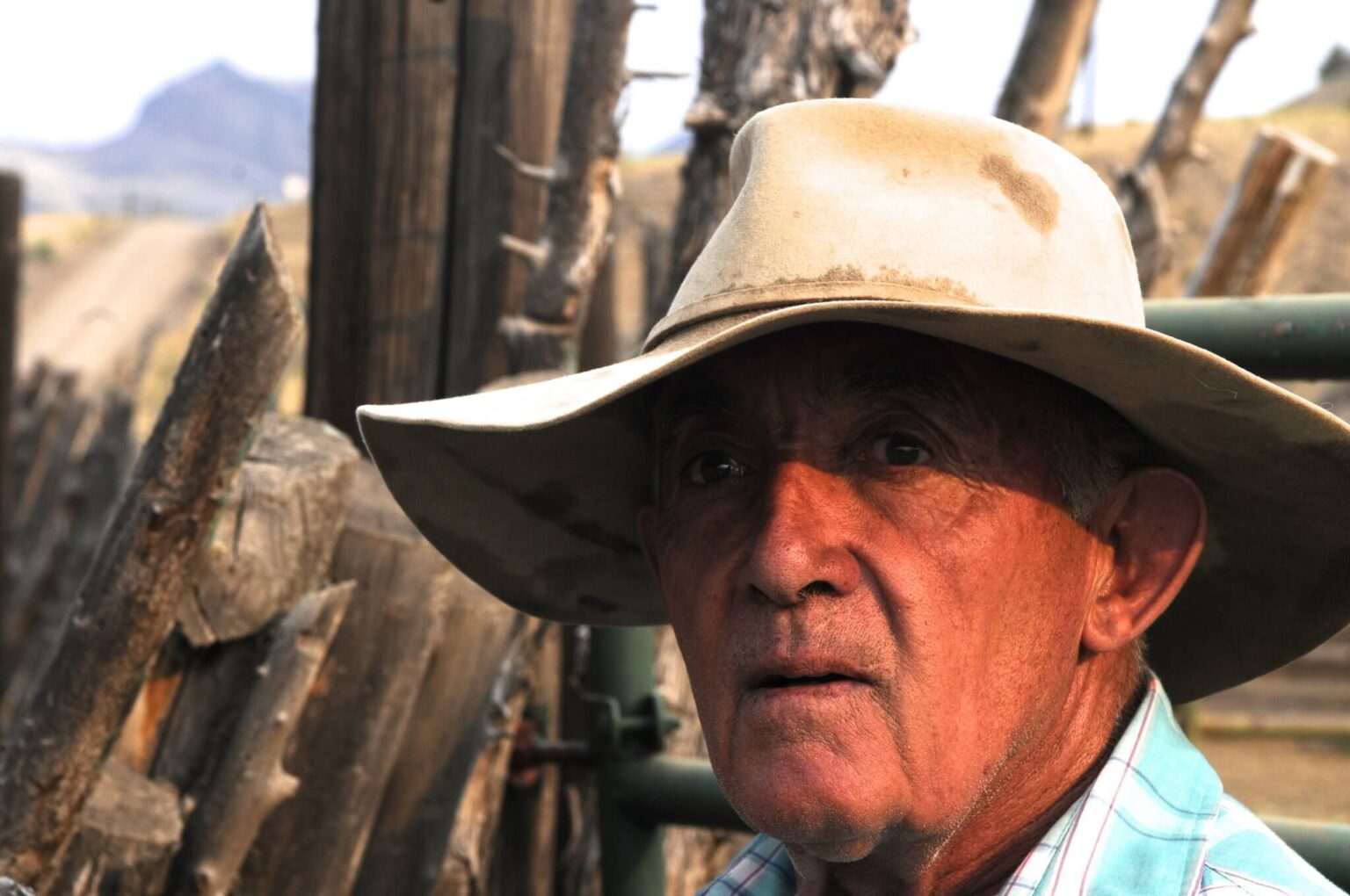 Bill Bowerman's Children: William J. Bowerman, Jr, Jon Bowerman, Thomas ...